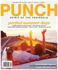 punch cover | CHENG Design | sustainable, emotional, timeless design